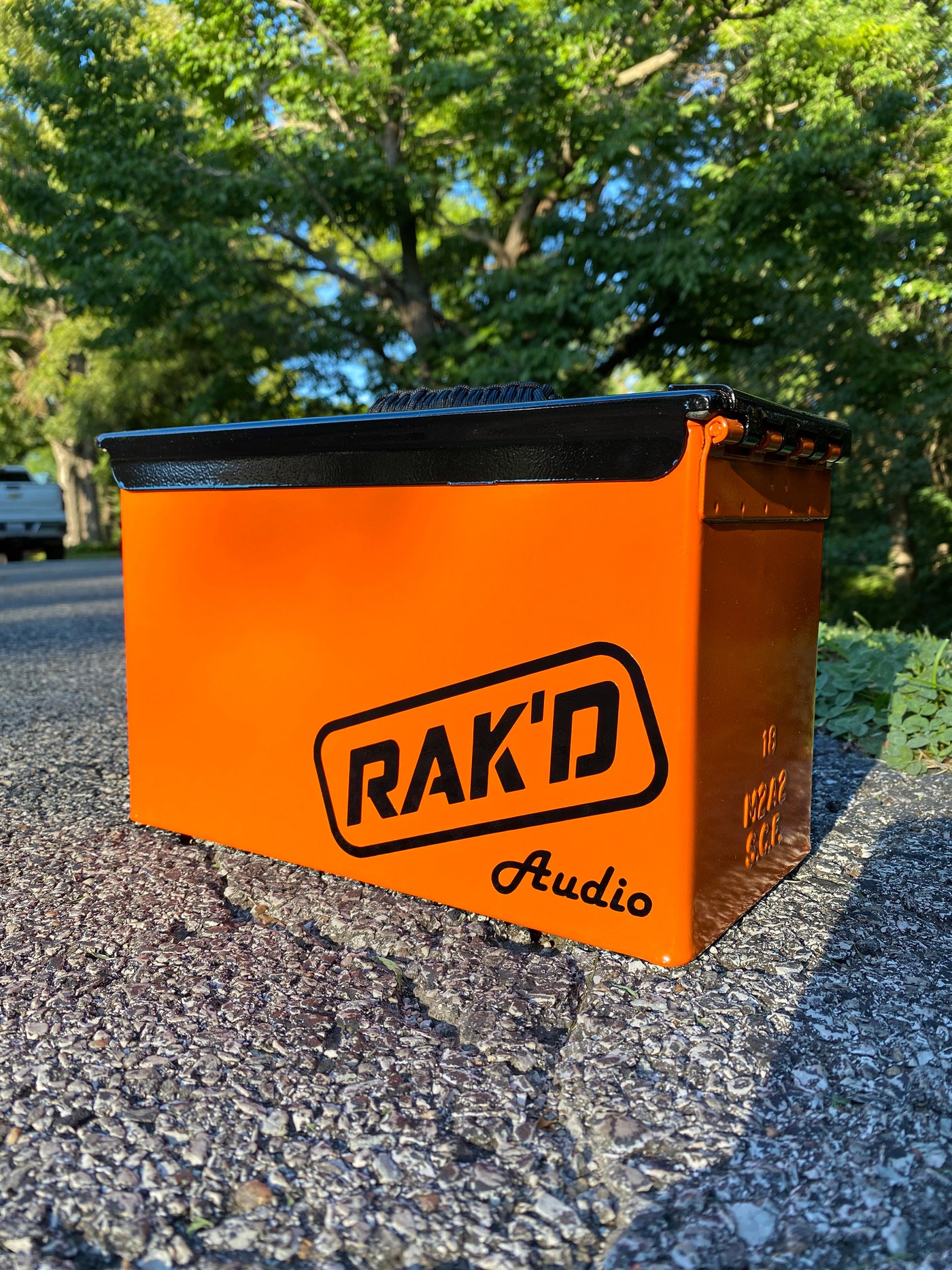 Pumpkin RAK D Audio